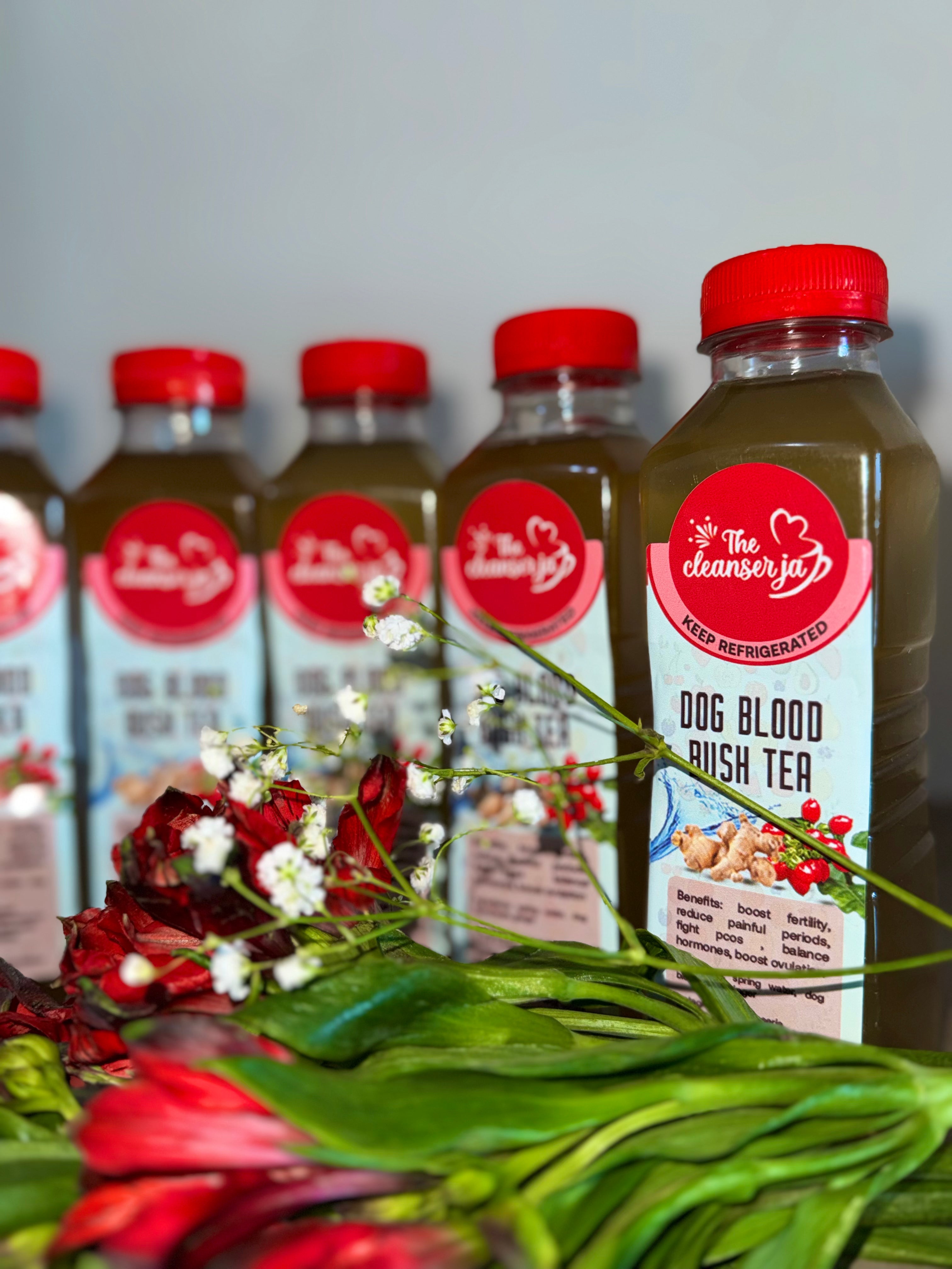 Jamaican Dog Blood Bush Drink – Soulful Herbs & Spices